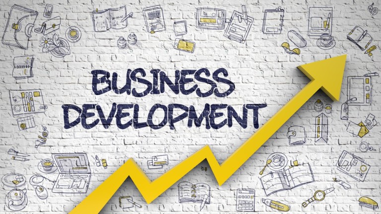 A Completed Guide – Business Development Assignment Help