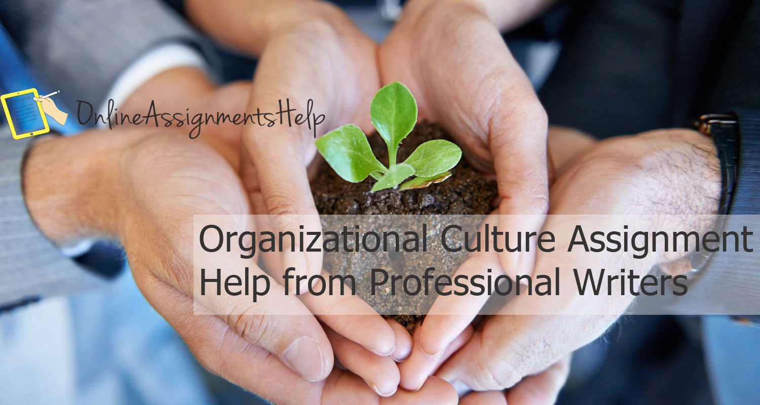 Organizational Culture Assignment Help from Professional Writers