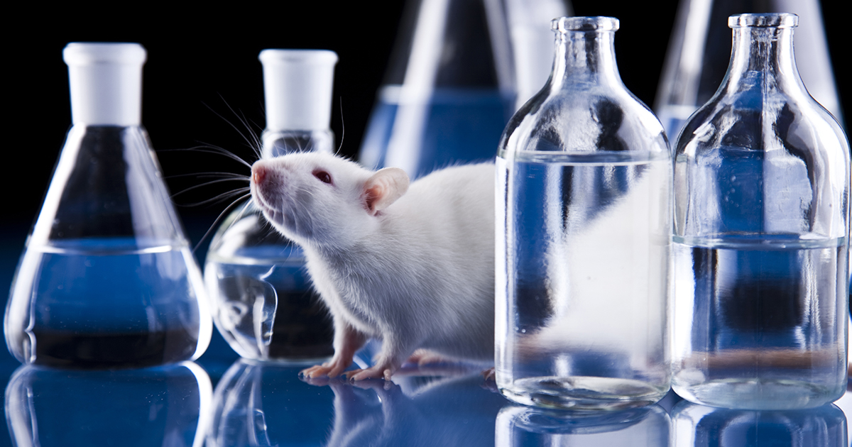 Top Ten Universities for Animal Research Announced