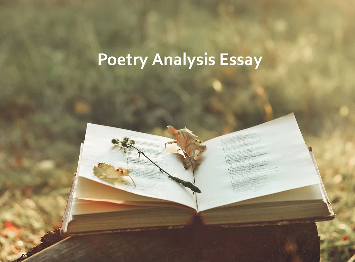 5 Tips to write ace a Poetry Analysis Essay