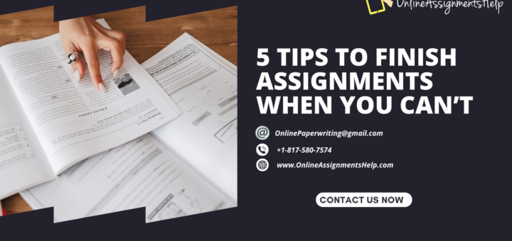 Assignment Writing Help | Blog